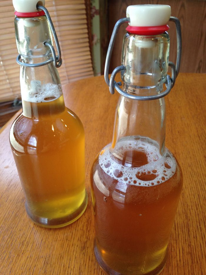 Kombucha - Cultured Food Life