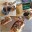 Scary Delicious Seaweed Dip - Cultured Food Life