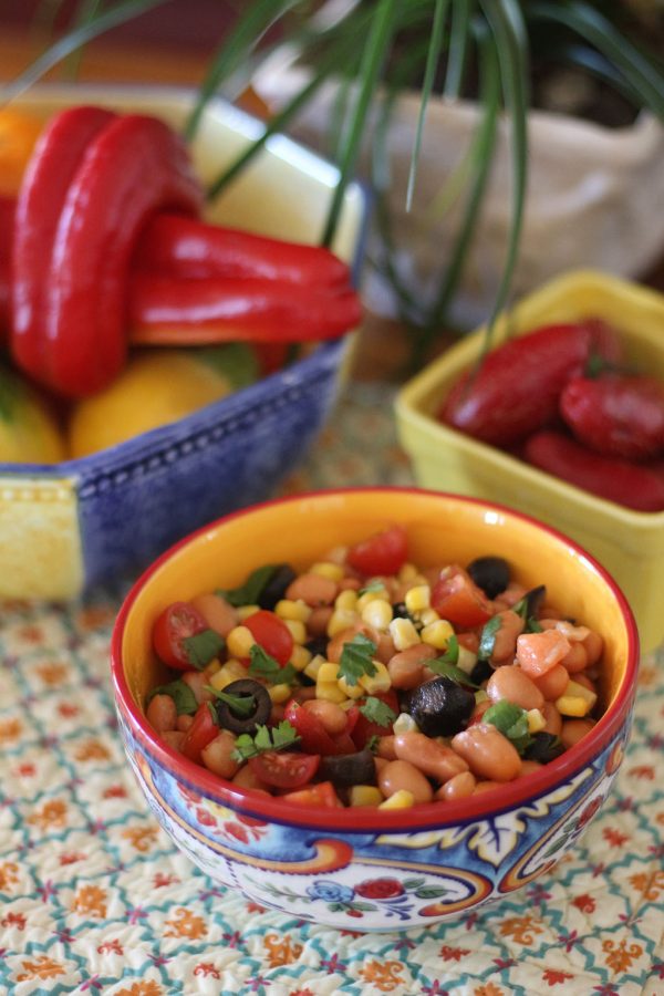 Fermented Fiesta Dip - Cultured Food Life