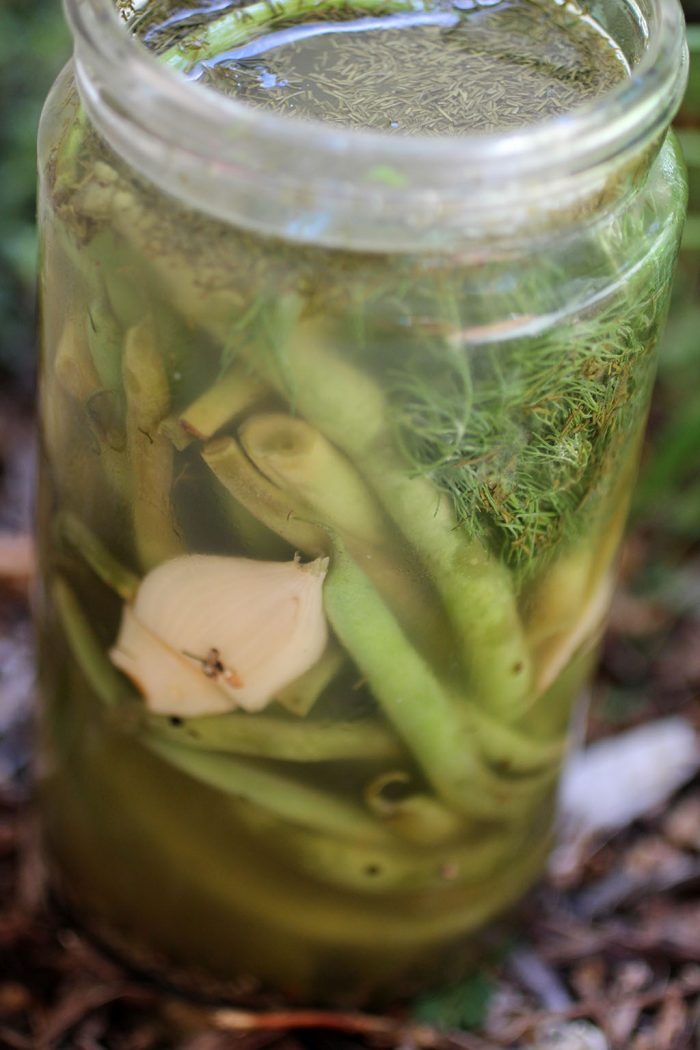 Dilly Beans - Cultured Food Life