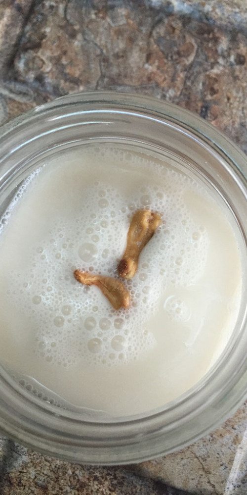 Winter Kefir - Cultured Food Life