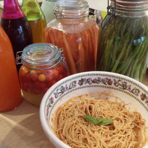 Become A Biotic Pro - Cultured Food Life