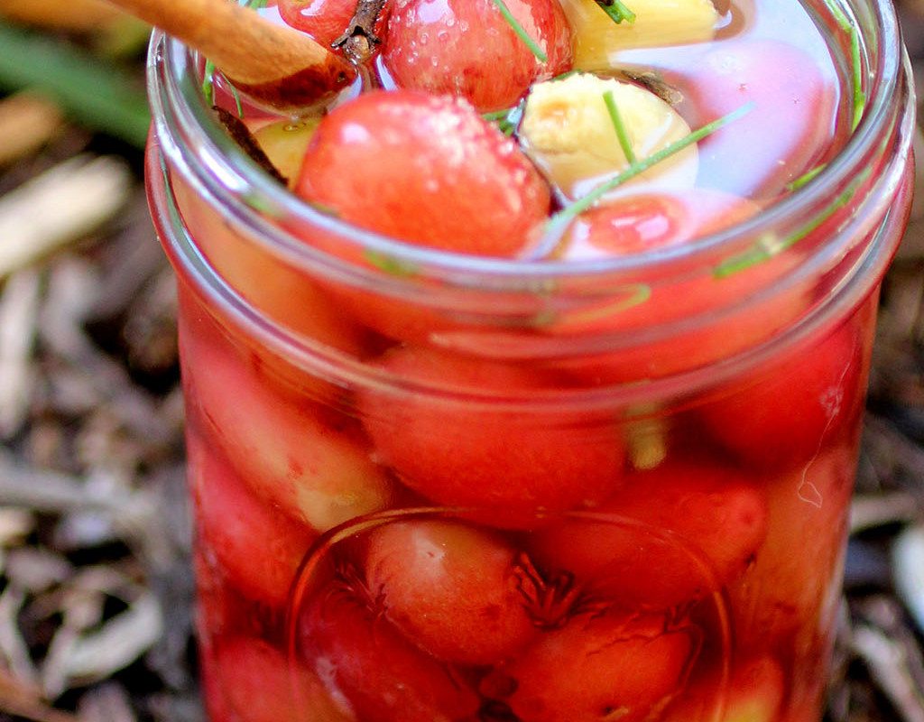 Cultured Vegetables Archives - Cultured Food Life