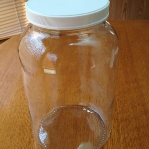 Gallon Jar - Cultured Food Life