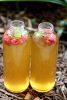 History of Kefir, Kombucha, and Fermented Vegetables - Cultured Food Life