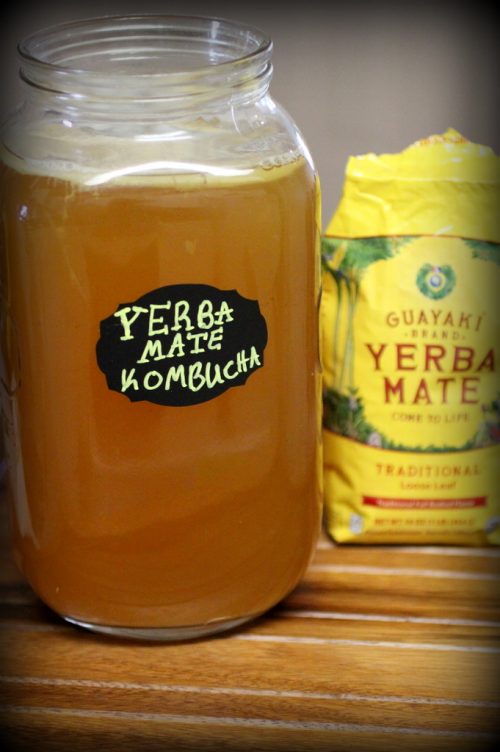 Yerba Mate Tea Kombucha - Cultured Food Life