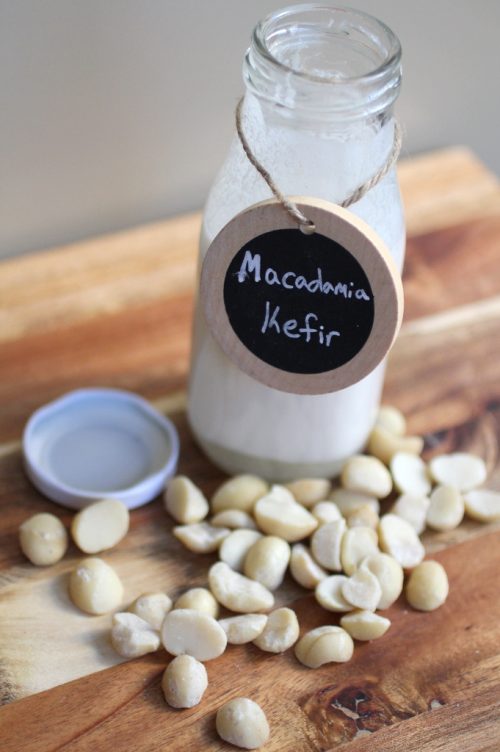 Macadamia Nut Milk Kefir - Cultured Food Life