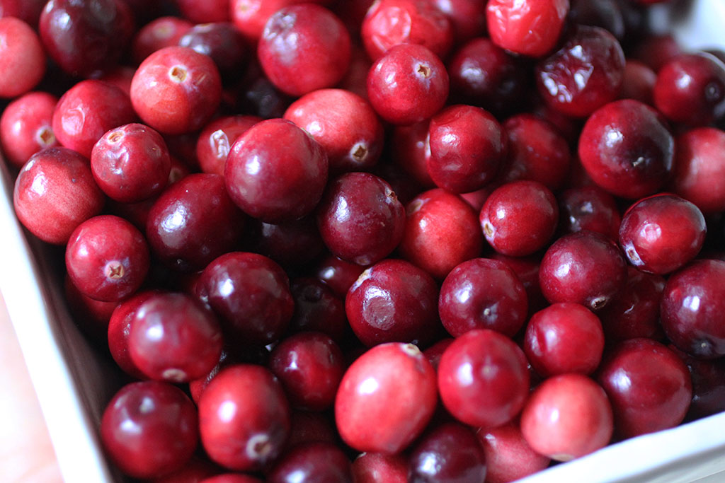 Cranberries Have Many Healing Powers - Cultured Food Life