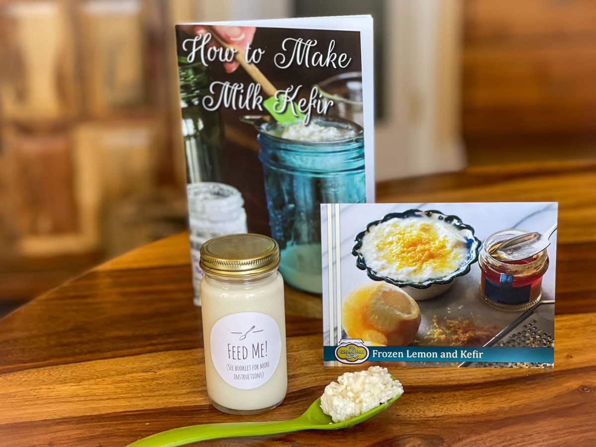 Donna's Live MILK Kefir Grains - Cultured Food Life