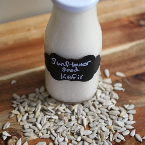 Winter Kefir - Cultured Food Life