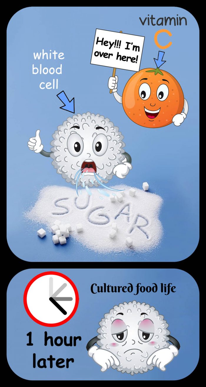 The Real Reasons Your Immune System Needs Cultured Foods - Cultured ...