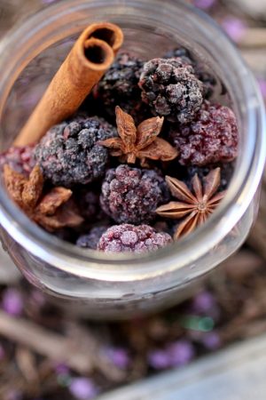 Chai Spice Kombucha with Blackberries - Cultured Food Life