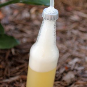 How to Make Kefir Soda - Cultured Food Life