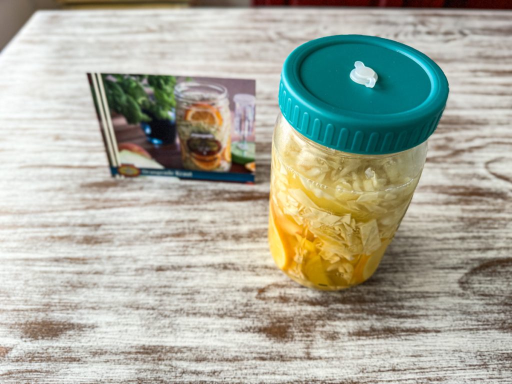 Airlock Lid - Cultured Food Life