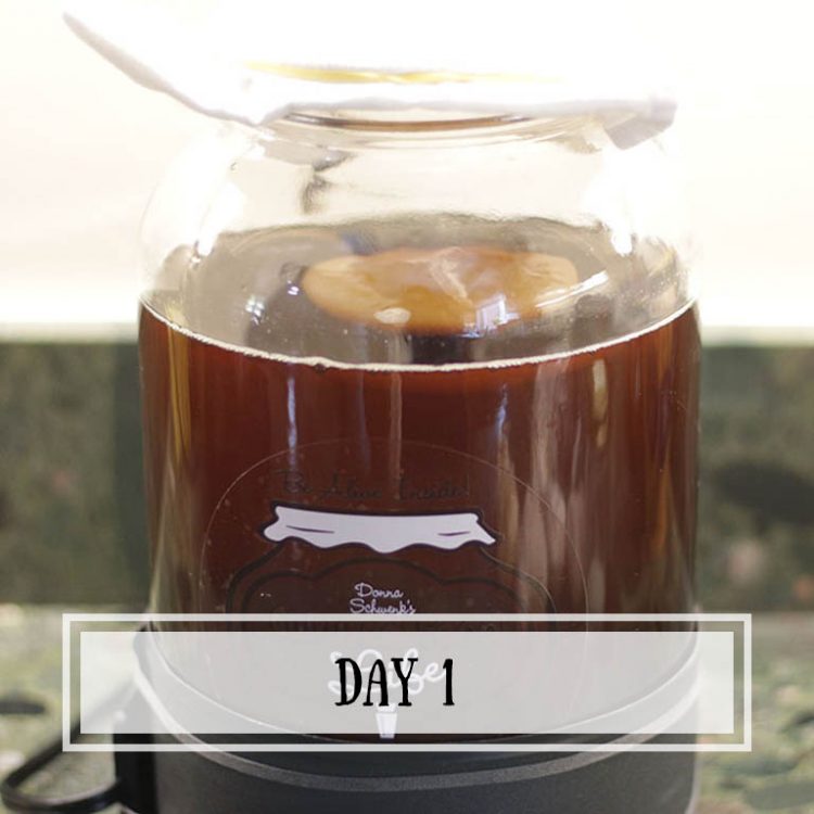 Eight Days With Kombucha - Cultured Food Life