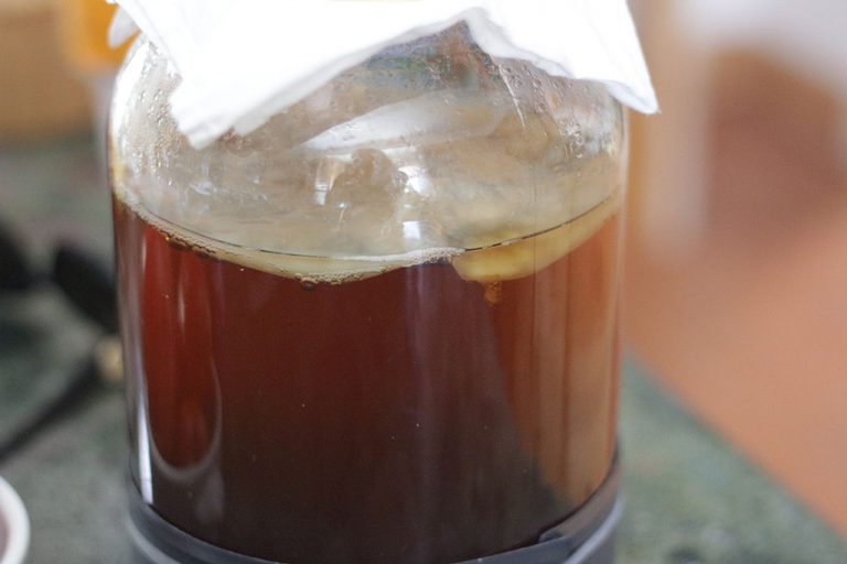 What Kombucha Looks Like Each Day - Cultured Food Life