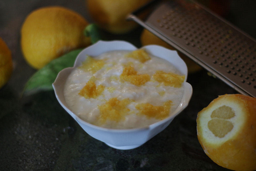 Frozen Lemon and Kefir ~🍋 - Cultured Food Life