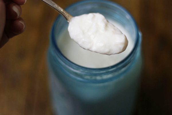 Kefir (Using Live Kefir Grains) - Cultured Food Life