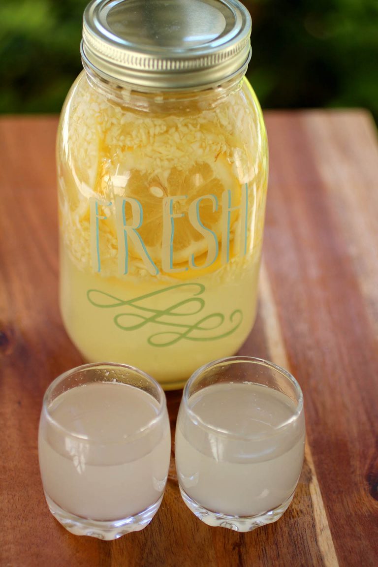 Gut Juice - Cultured Food Life