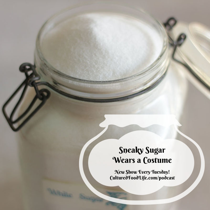 Episode 8: Sneaky Sugar Wears a Costume - Cultured Food Life