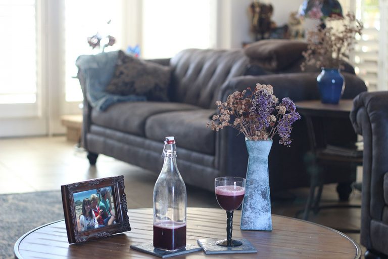 Microbes That Change Your Home in 24 Hours - Cultured Food Life