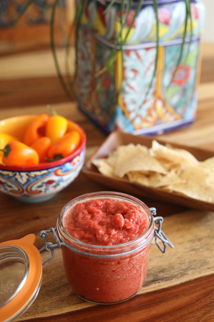 Blender Salsa - Cultured Food Life