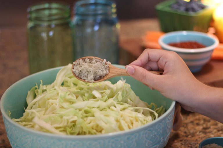Basic Kraut - Cultured Food Life