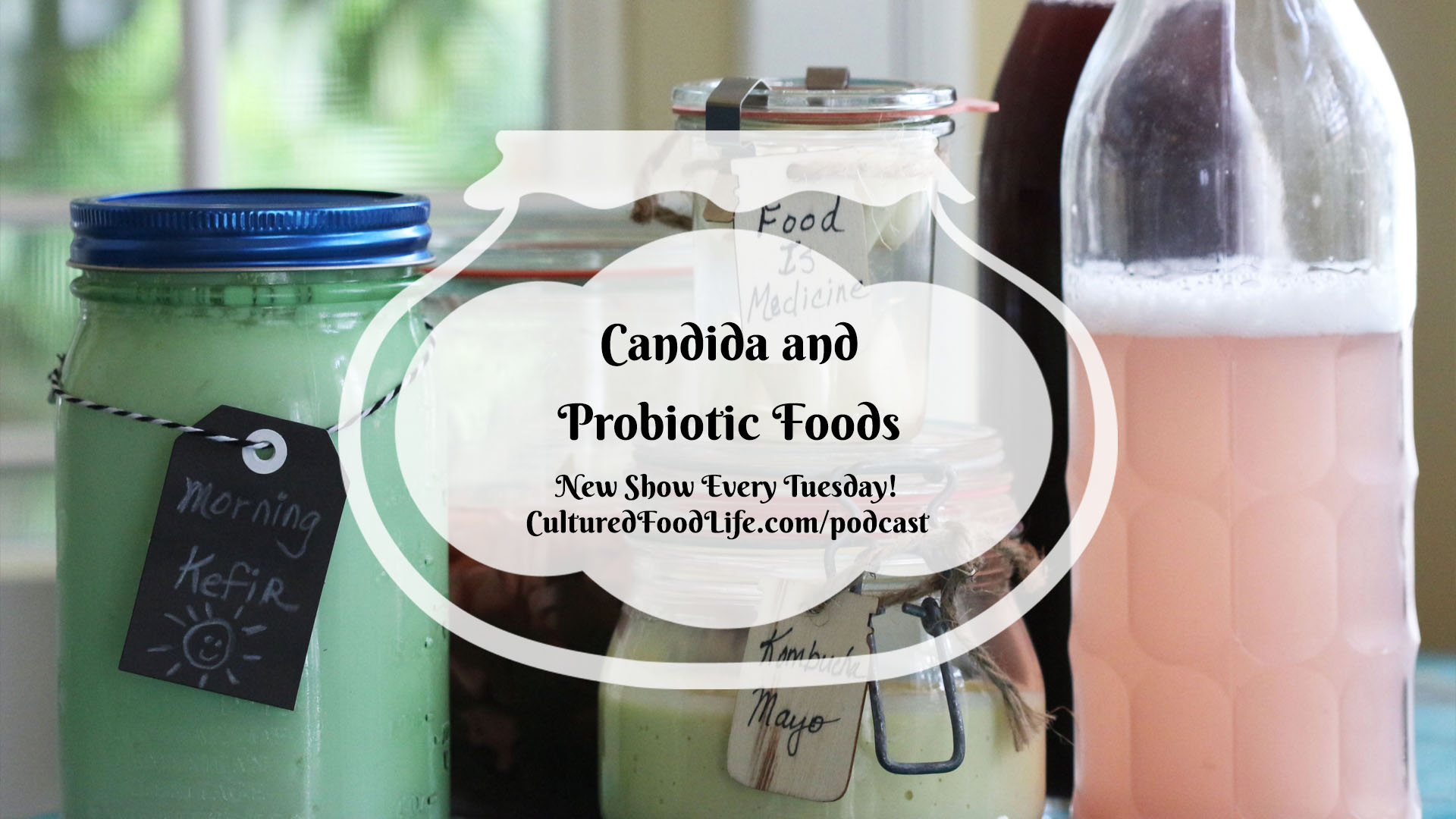 Episode 48: Candida and Probiotic Foods - Cultured Food Life