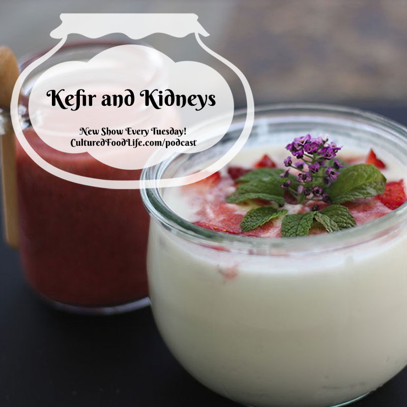Episode 51: Kefir and Kidneys - Cultured Food Life