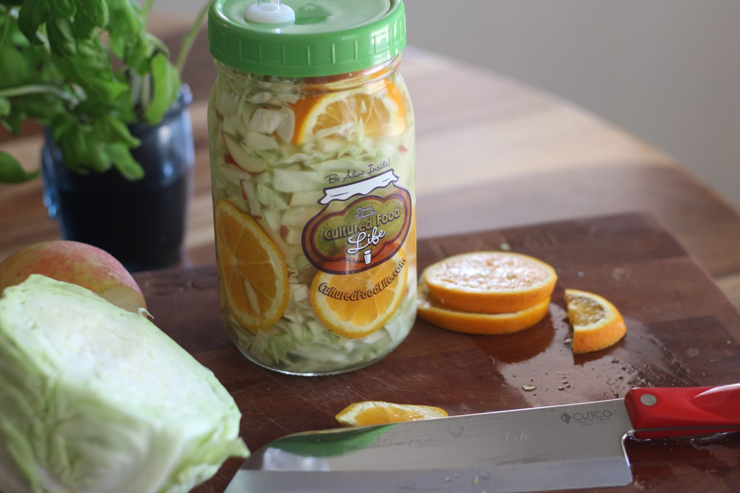 Probiotic Foods for Different Ailments - Cultured Food Life