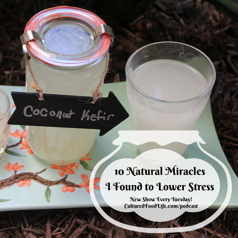 Episode 60: 10 Natural Miracles I Found to Lower Stress - Cultured Food ...
