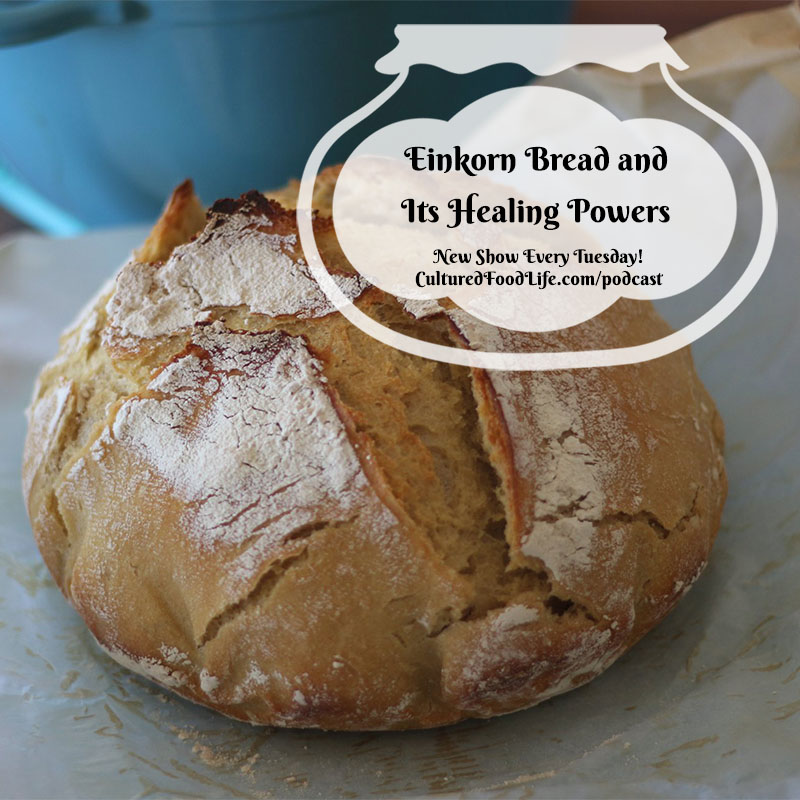 Episode 77: Einkorn Bread and Its Healing Powers - Cultured Food Life