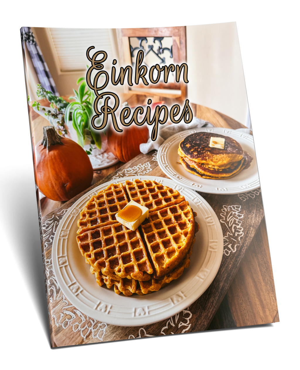 Recipe eBooks - Cultured Food Life