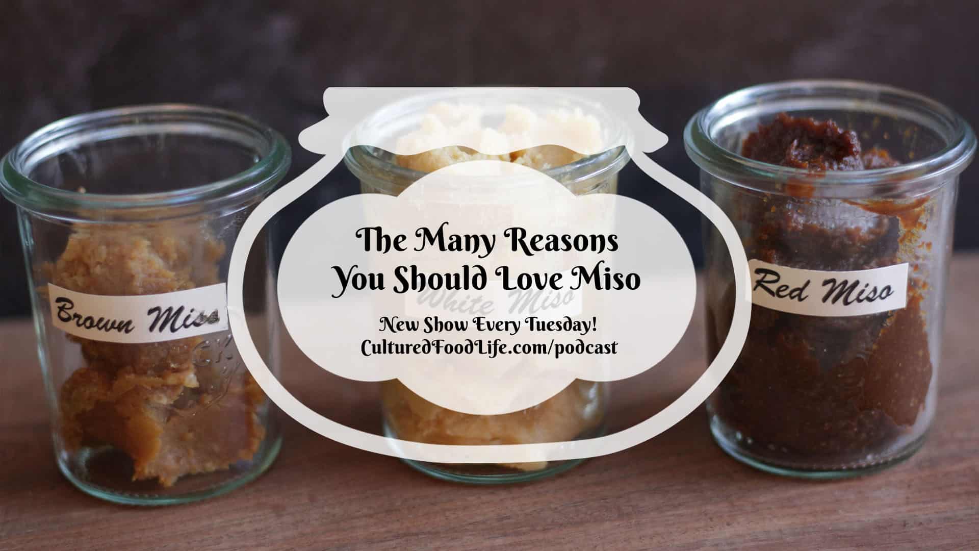 Episode 140: The Many Reasons You Should Love Miso - Cultured Food Life
