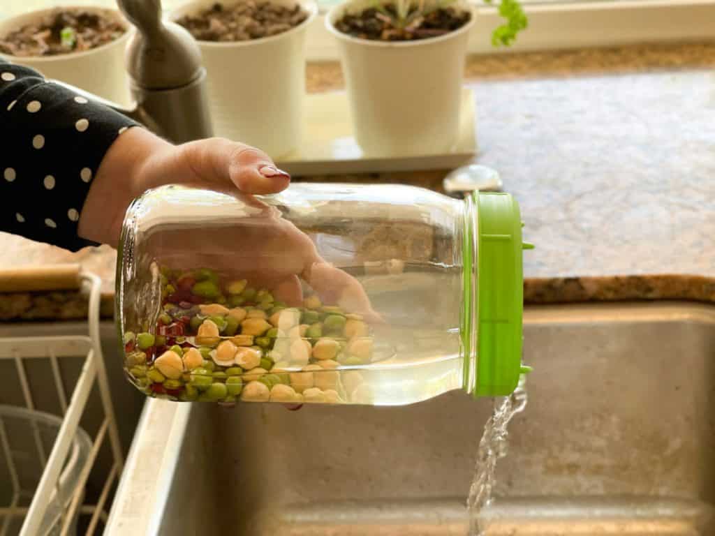 Sprouts – Power Protein - Cultured Food Life