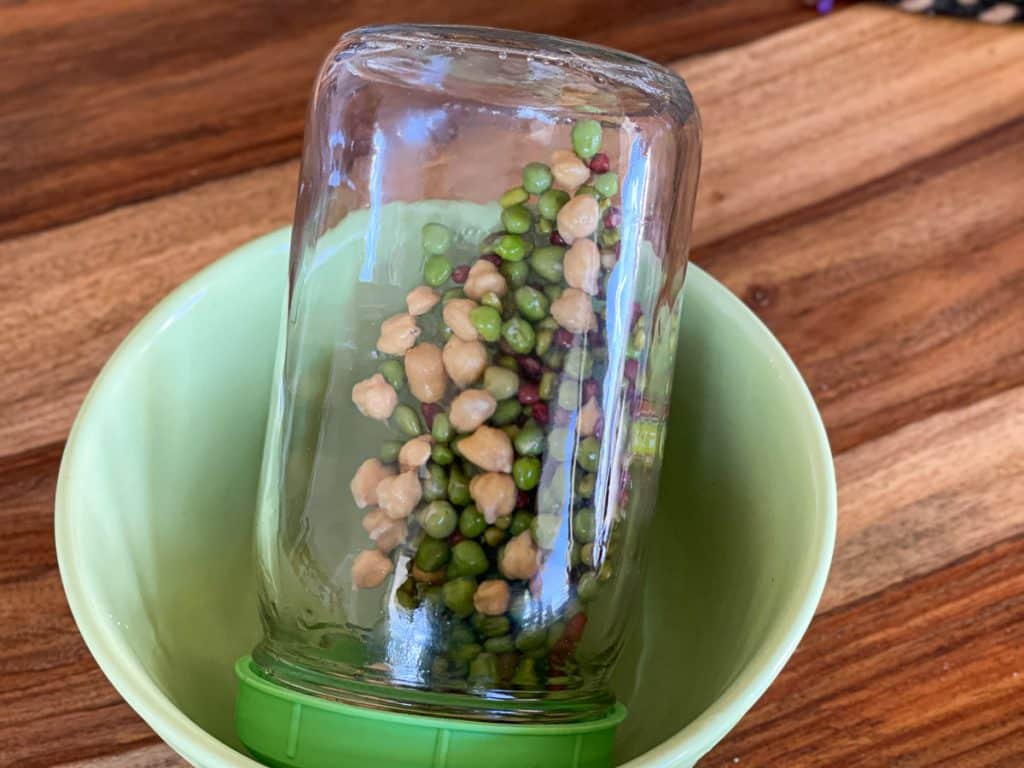 Sprouts – Power Protein - Cultured Food Life