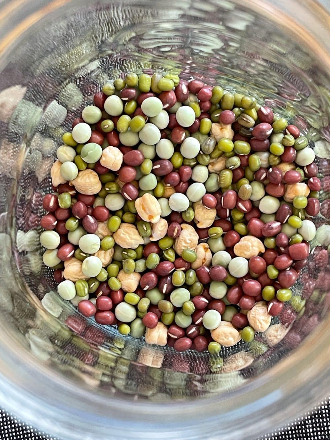 Sprouts – Power Protein - Cultured Food Life