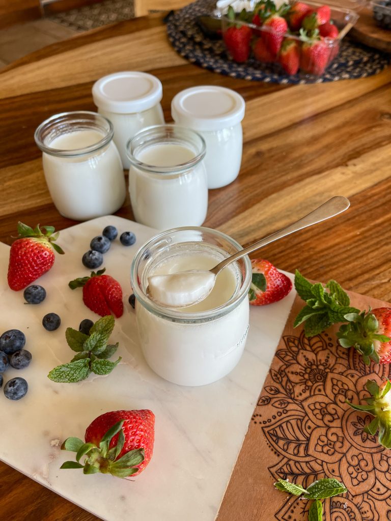 Yogurt Plus - Cultured Food Life