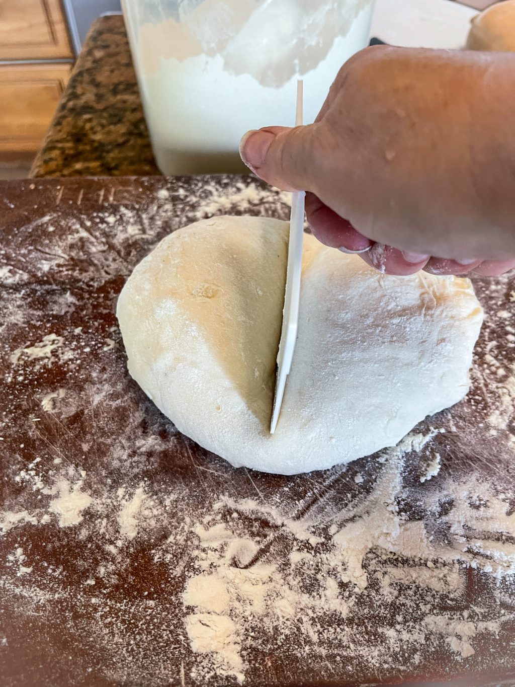 Bowl Scraper - Cultured Food Life