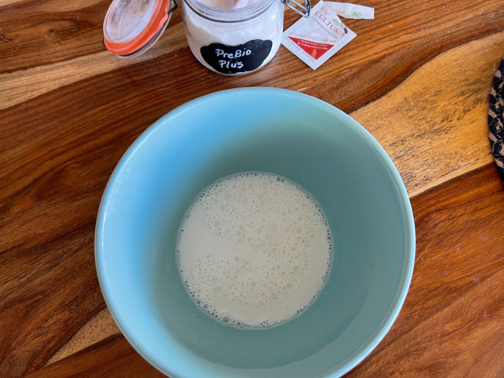 L. Reuteri Superfood Yogurt - Cultured Food Life