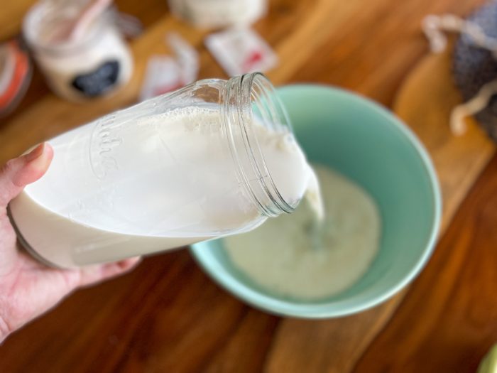 L. Reuteri Superfood Yogurt - Cultured Food Life