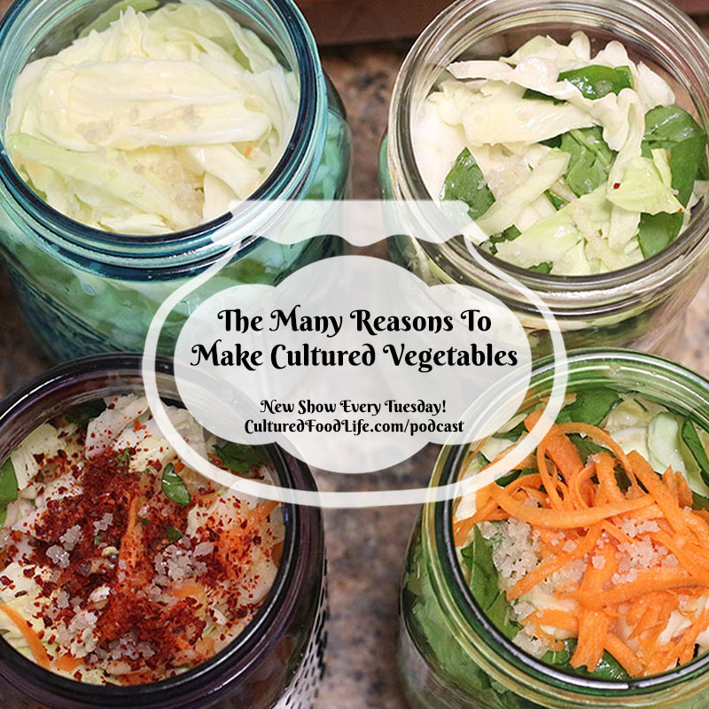 Episode 194: The Many Reasons to make L. Reuteri Superfood Yogurt ...