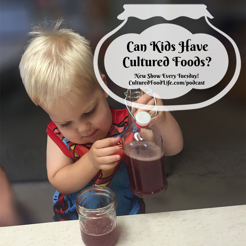 Cultured Food Life Podcast - Cultured Food Life