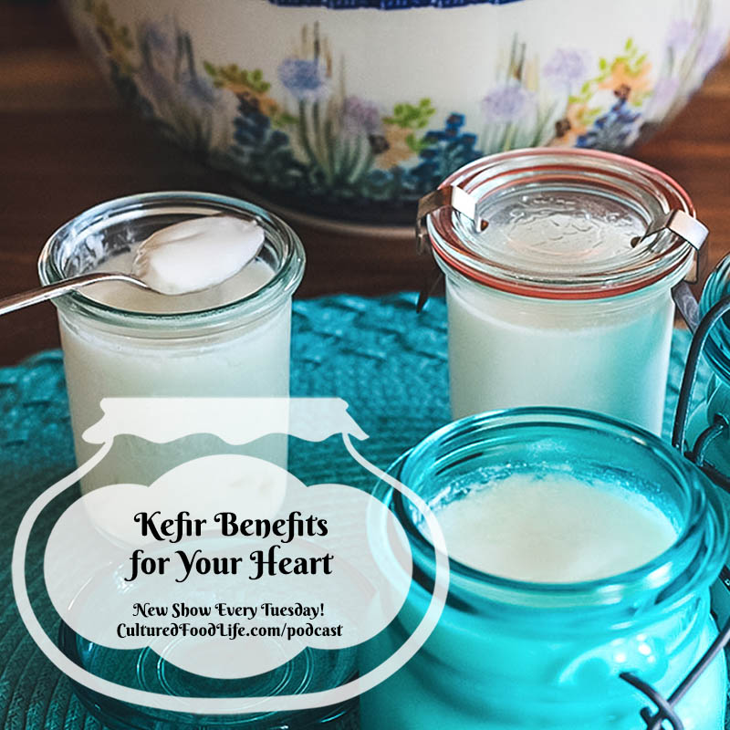 Episode 174: Resistant Starch - The Key To A Healthy Gut - Cultured ...