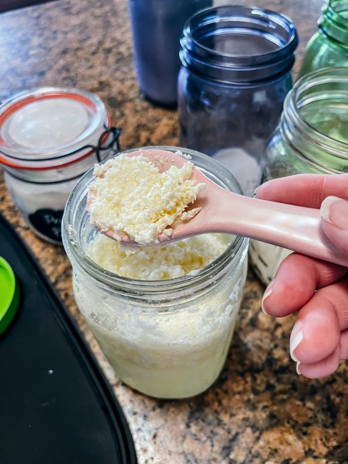 L. Reuteri Superfood Yogurt in a Sous Vide - Cultured Food Life