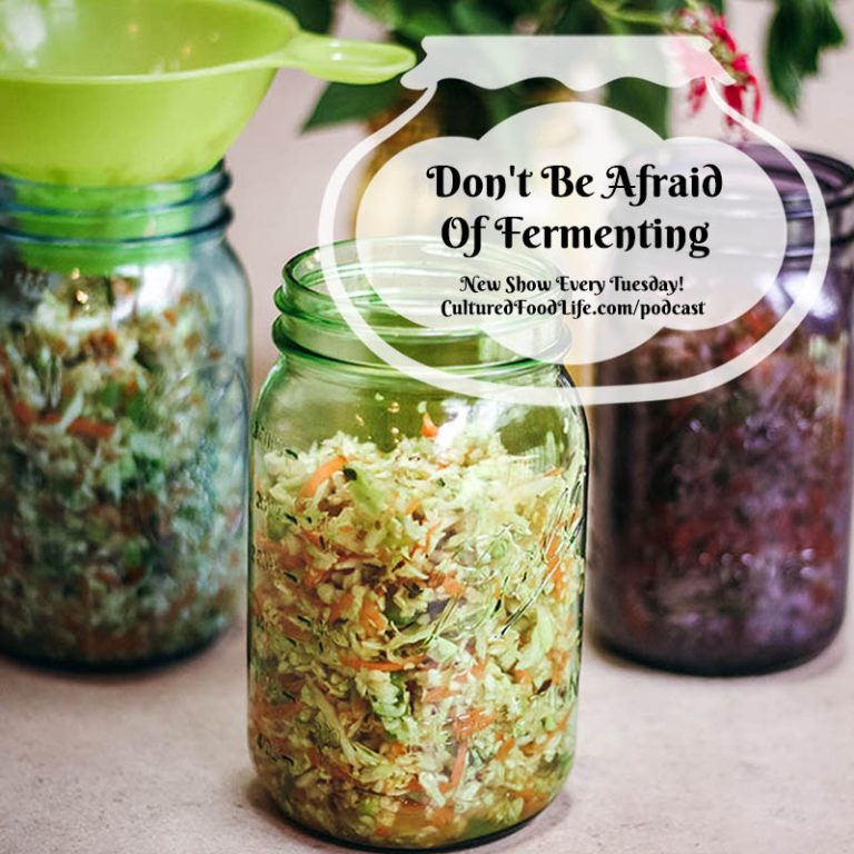 Welcome To Cultured Food Life! - Cultured Food Life