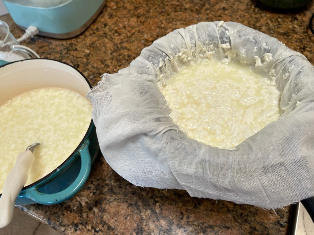 L. Reuteri Cottage Cheese - Cultured Food Life