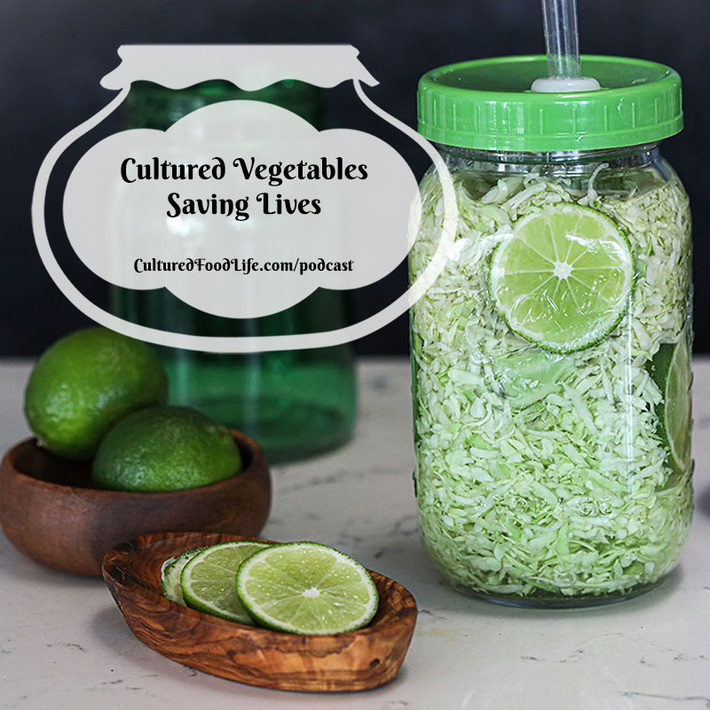 Cultured Food Life Podcast - Cultured Food Life