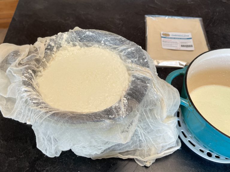 Yogurt Plus Cottage Cheese - Cultured Food Life