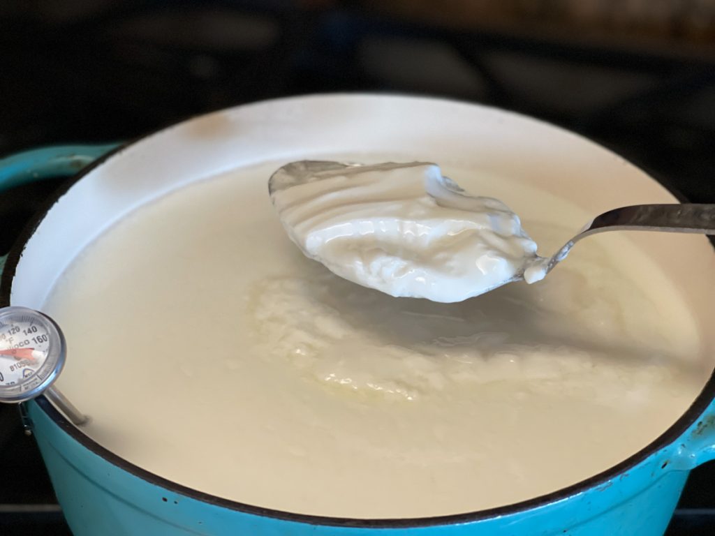 Yogurt Plus Cottage Cheese - Cultured Food Life